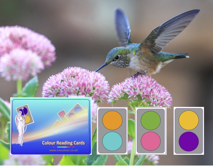 Colour Therapy Readings Card Pack | Courses | Suzy Chiazzari ...